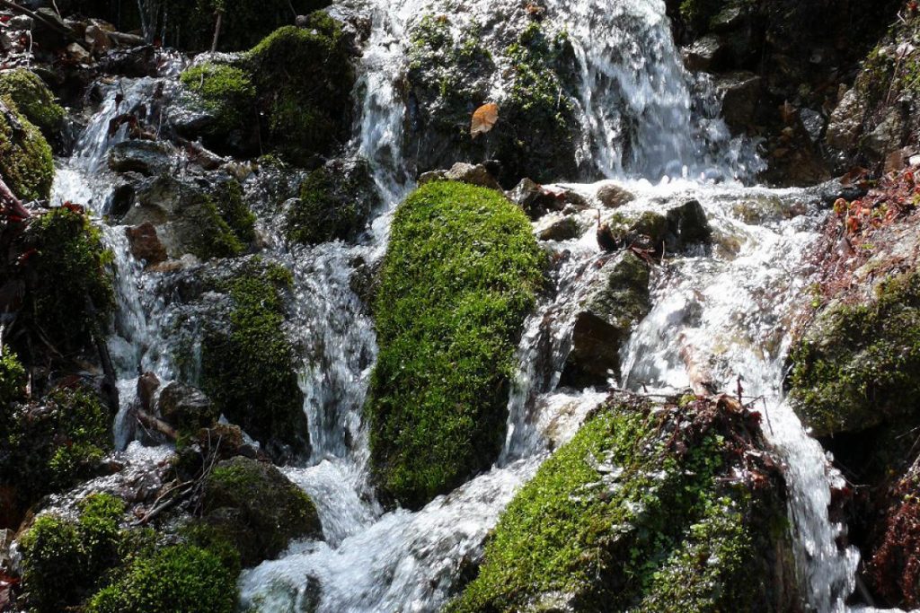 漫步“世界遗产的山间小径 山毛榉林散步道”（春季~秋季的旅游项目） | 在此介绍有关居住在青森县内白神地区的居民的生活风貌以及能够体验大自然的 ...